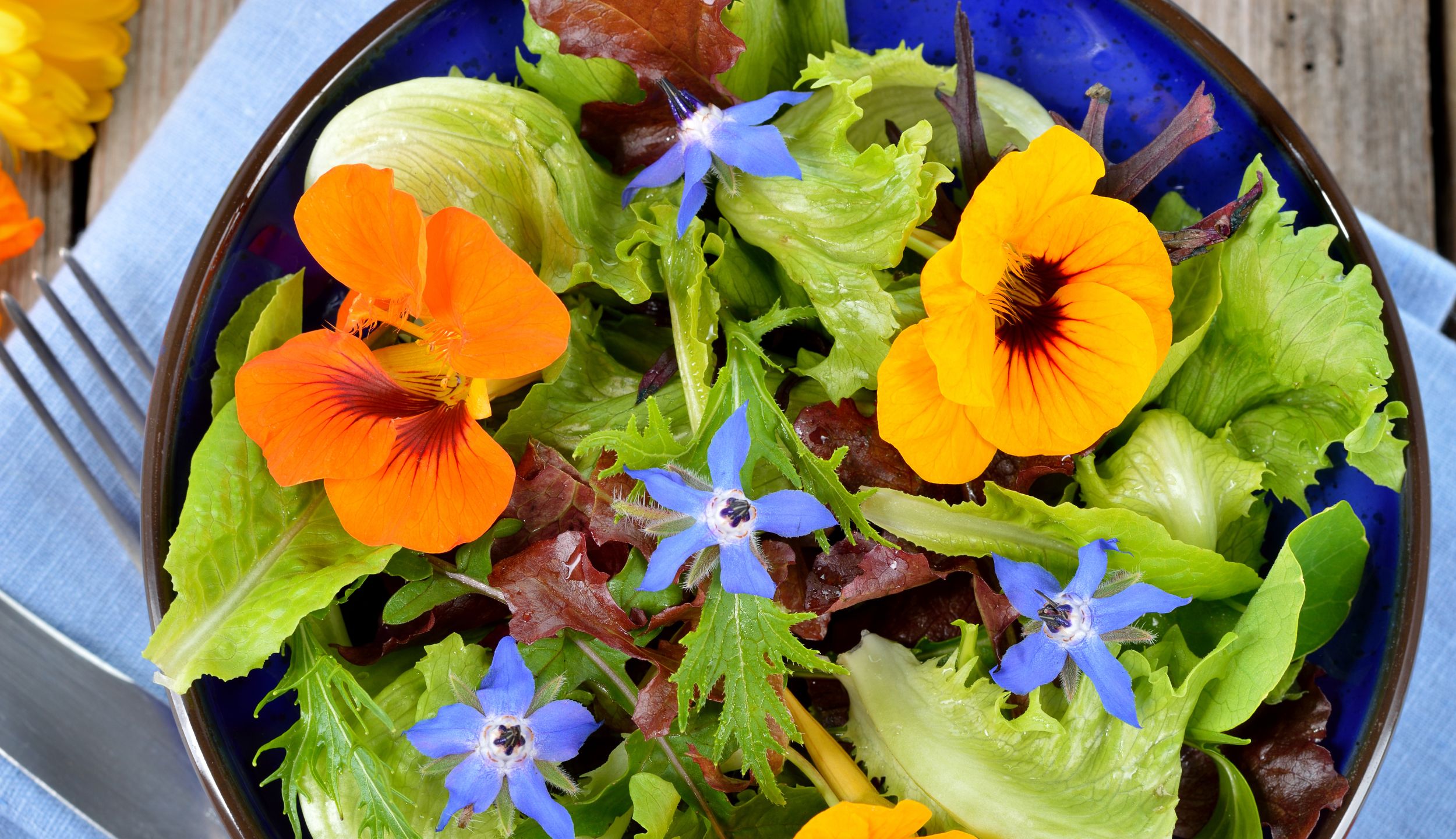 Melhores plantas comestíveis para o jardim do seu apartamento - Plante ...